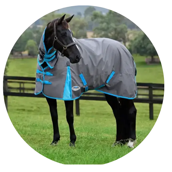 WeatherBeeta ComFiTec Classic Turnout Rugs | Premium Horse Rugs UK ...
