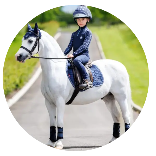 Horse Tack Sale UK – Affordable, Everyday Riding Essentials | Online ...
