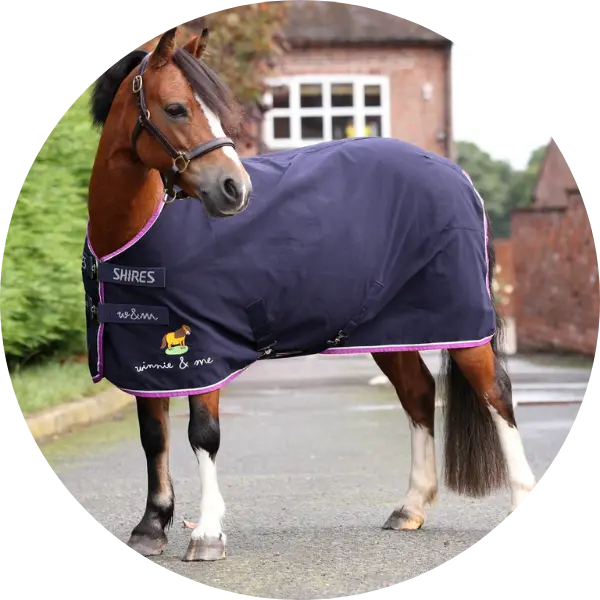 Stable Sheets for Horses | Lightweight Indoor Rugs | Online For Equine