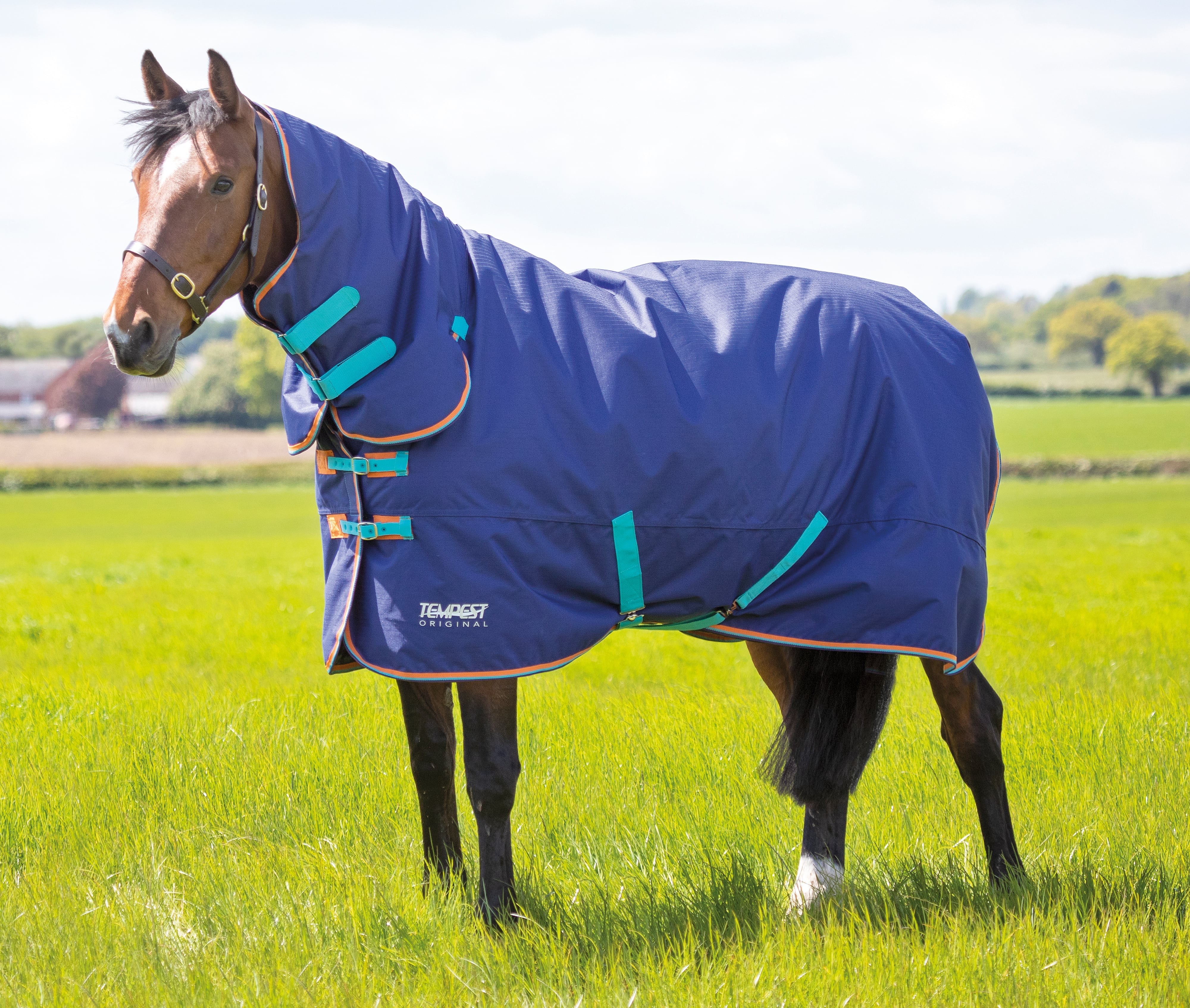 Buy the Shires Tempest Original 100g Navy Combo Turnout Rug | Online ...