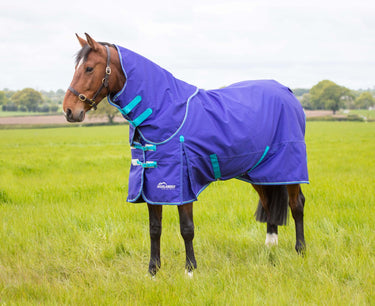Rain Sheets & Summer Sheets | Online For Equine