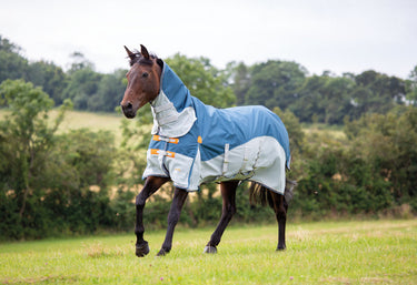 Rain Sheets & Summer Sheets | Online For Equine