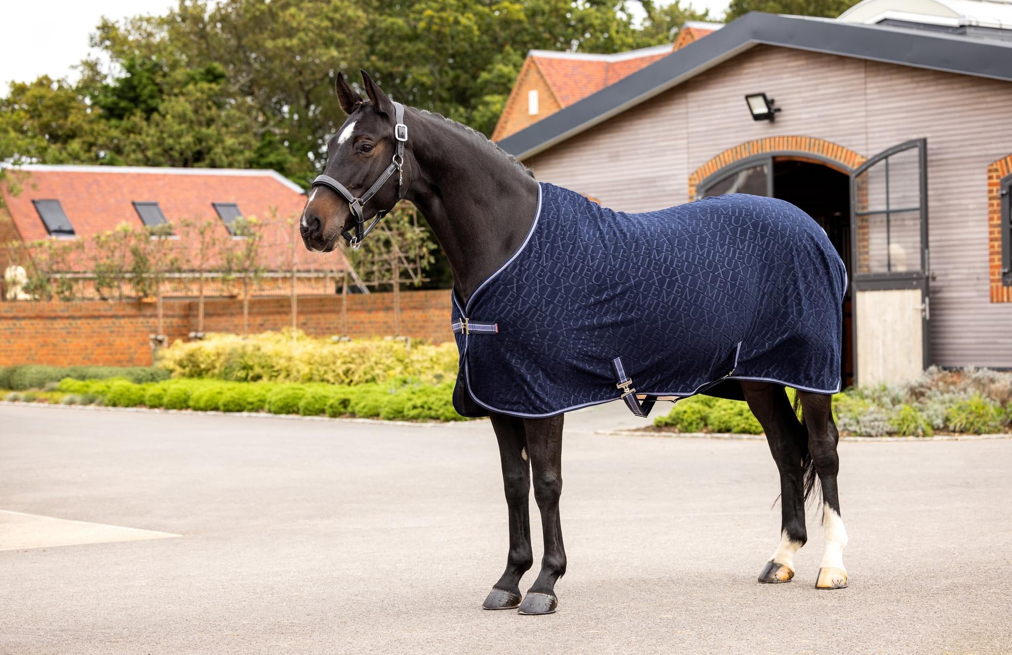 Buy LeMieux Arika Monogram Fleece Rug Navy | Online for Equine – Online ...