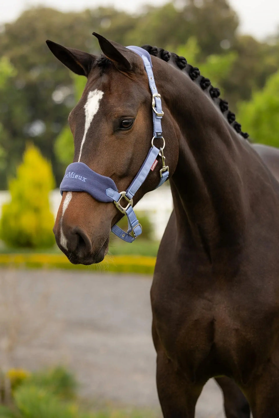 LeMieux Headcollar & Head Collars | Capella & Leather | Online for ...