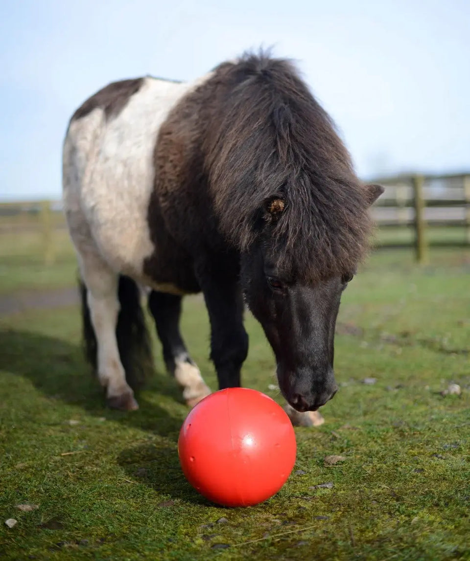 Likit Horse Treats & Toys | Stable Enrichment for Happy Horses | Online ...