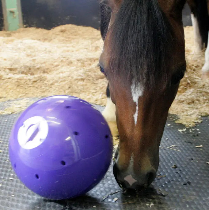 Likit Horse Treats & Toys | Stable Enrichment for Happy Horses | Online ...