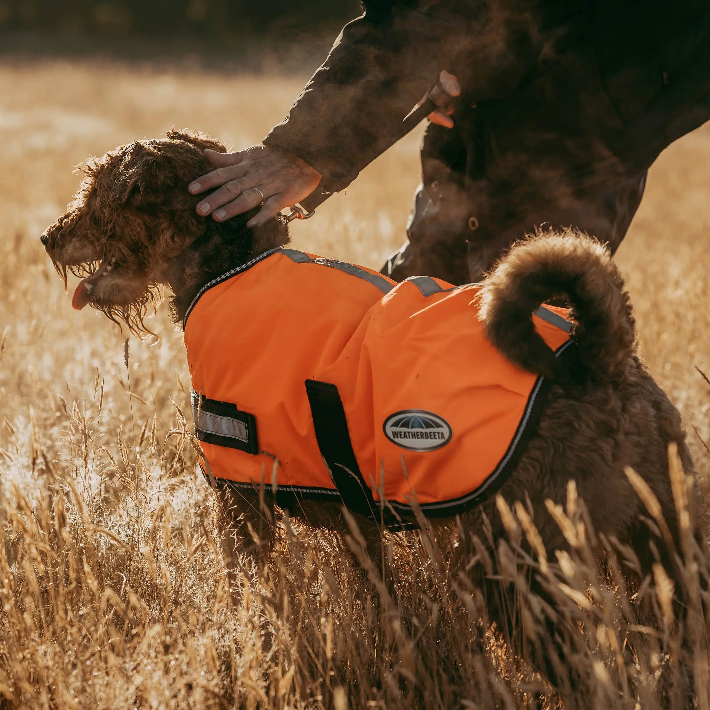 Buy Weatherbeeta Comfitec Reflective Parka 300D Orange Dog Coat| Online ...