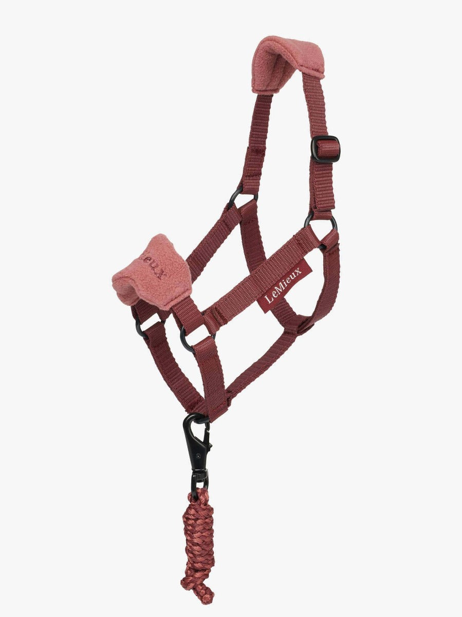 Buy Le Mieux Hobby Horse Headcollar Merlot|Online for Equine – Online ...